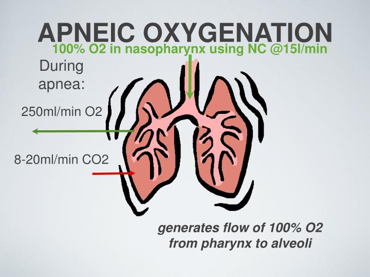PPT - apneic oxygenation PowerPoint Presentation - ID:5406171