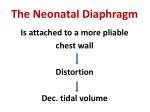 PPT - Neonatal Apnea PowerPoint Presentation - ID:5406187
