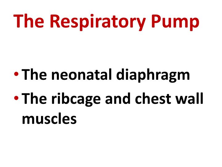 PPT - Neonatal Apnea PowerPoint Presentation - ID:5406187