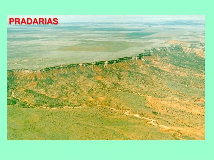 PPT - PRADARIAS PowerPoint Presentation, free download - ID:5406204