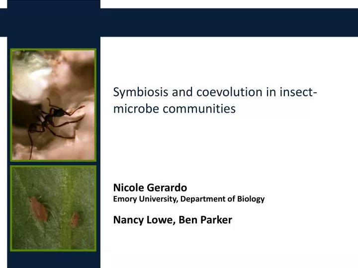 PPT - Symbiosis and coevolution in insect-microbe communities Nicole ...