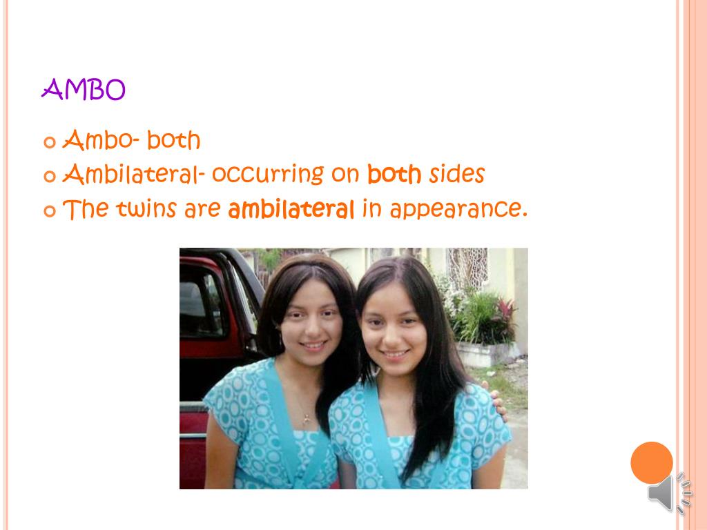 PPT - The Roots of A Greek-Latin Plant PowerPoint Presentation, free ...