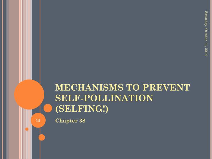 PPT - THE LIFE CYCLE OF ANGIOSPERMS PowerPoint Presentation - ID:5408370
