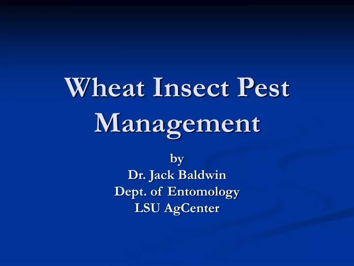 PPT - Wheat Insect Pest Management PowerPoint Presentation, free ...