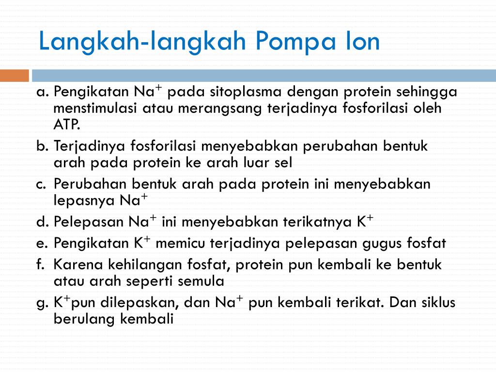 PPT - TRANSPORT MEMBRAN SECARA AKTIF PowerPoint Presentation, free ...