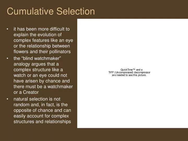PPT - Cumulative Selection PowerPoint Presentation, free download - ID ...