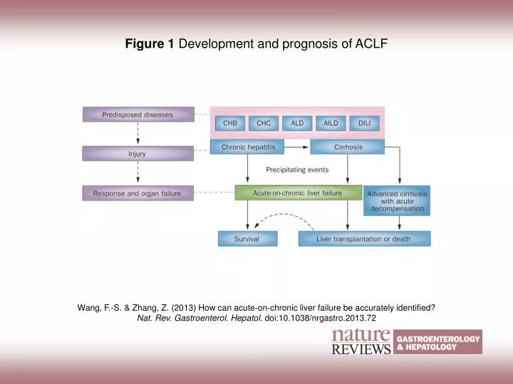 PPT - Figure 1 Development and prognosis of ACLF PowerPoint ...