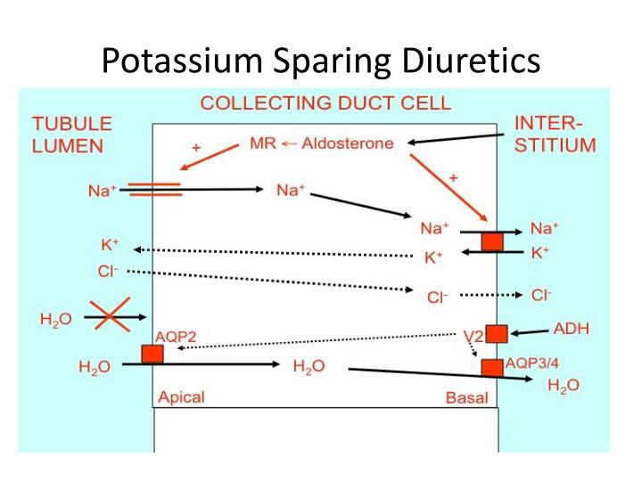 PPT - YEAR 2 PHARMACOLOGY & THERAPEUTICS ESSENTIAL DRUG LIST PowerPoint ...