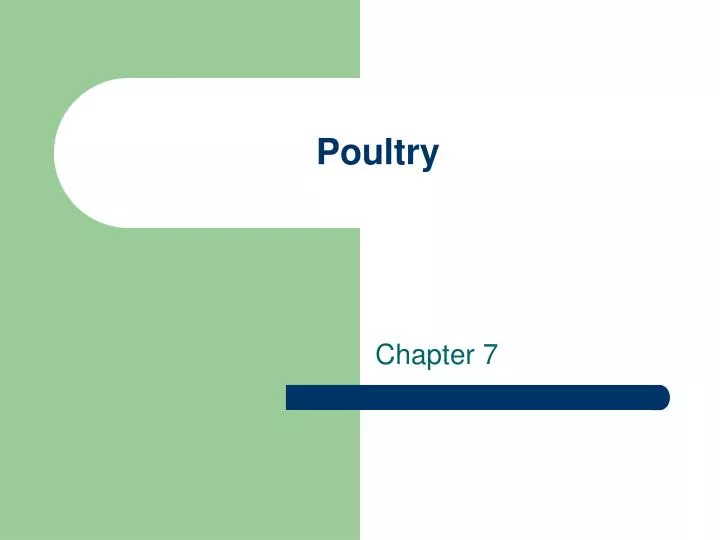 PPT - Poultry PowerPoint Presentation, free download - ID:5413282