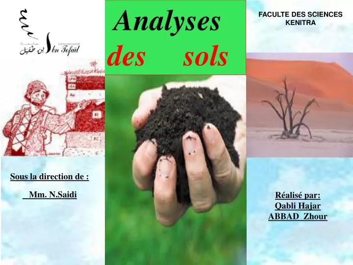 PPT - Analyses des sols PowerPoint Presentation, free download - ID:5413482