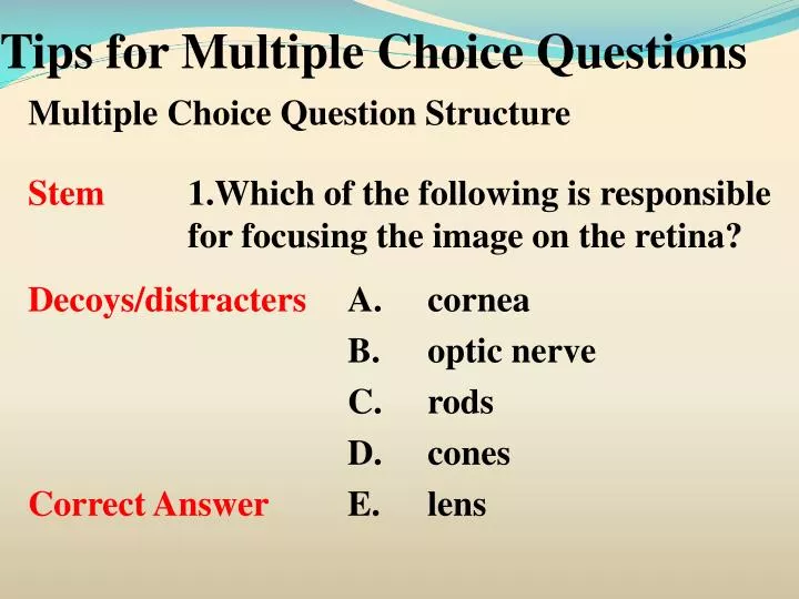 PPT Tips For Multiple Choice Questions PowerPoint Presentation Free