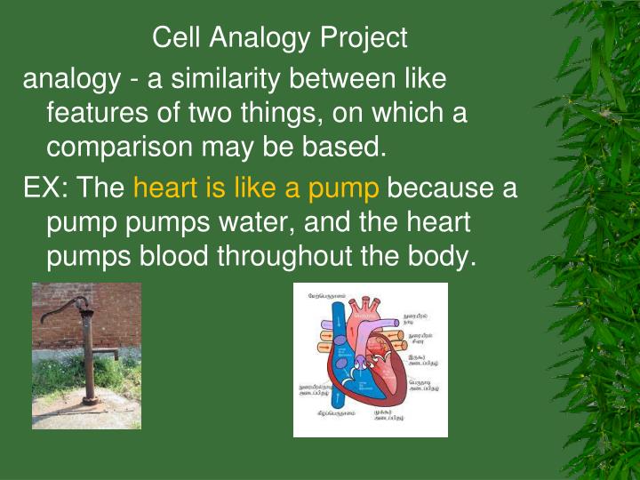 PPT - Cell Analogy Project PowerPoint Presentation - ID:5415354