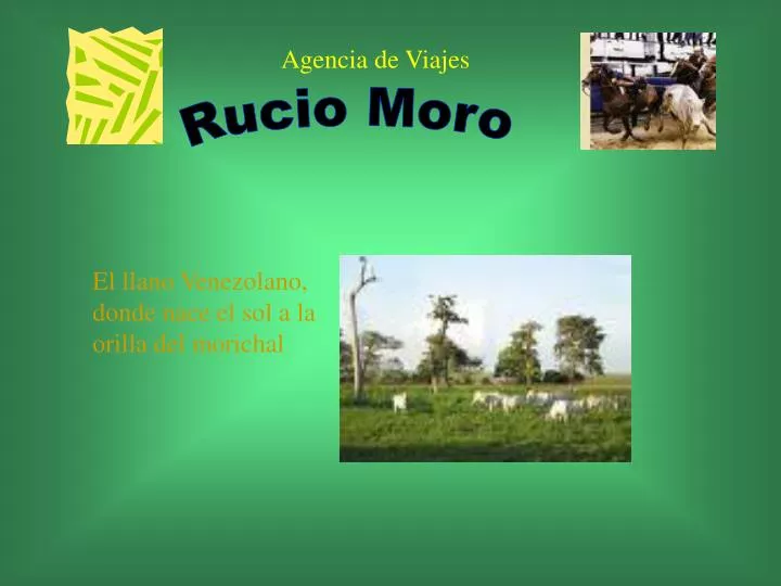 PPT - Rucio Moro PowerPoint Presentation, free download - ID:5415755