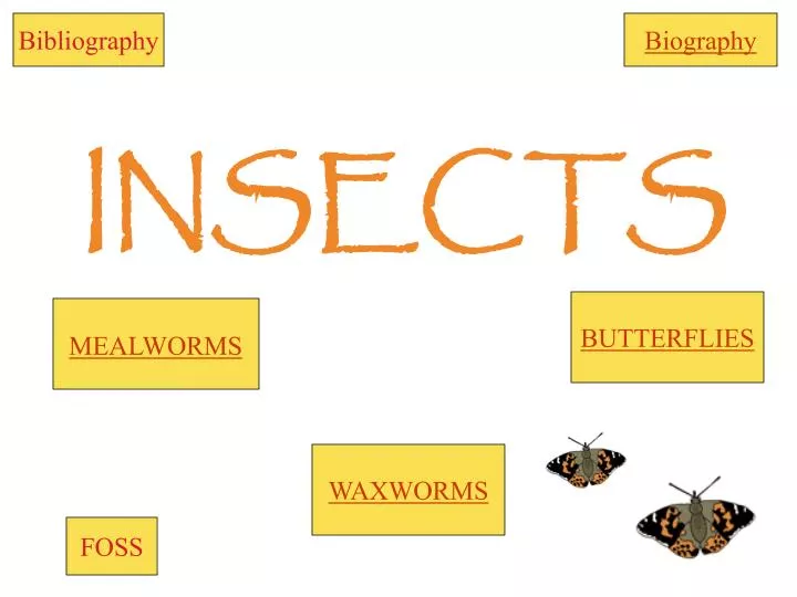 PPT - INSECTS PowerPoint Presentation, free download - ID:5415841