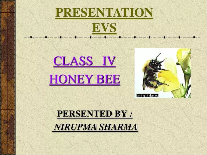 PPT - PRESENTATION EVS PowerPoint Presentation, free download - ID:5415995