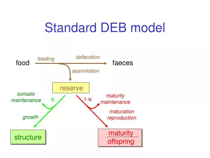 PPT - Standard DEB model PowerPoint Presentation, free download - ID ...
