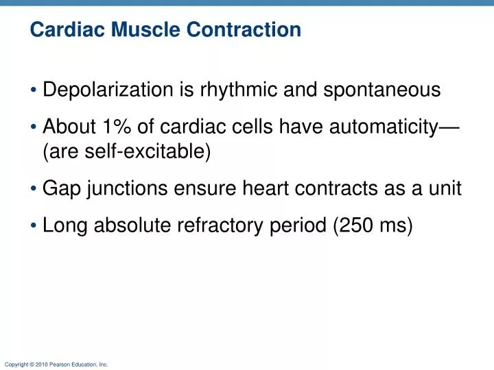 PPT - Cardiac Muscle Contraction PowerPoint Presentation, free download ...