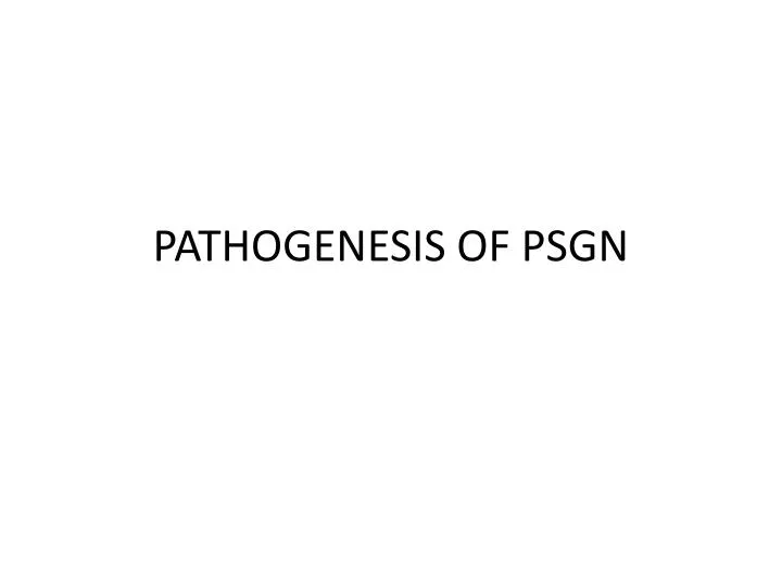PPT - PATHOGENESIS OF PSGN PowerPoint Presentation, free download - ID ...