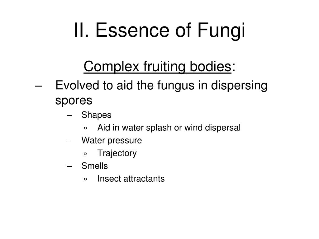 Ppt Kingdom Fungi Powerpoint Presentation Free Download Id 5417590