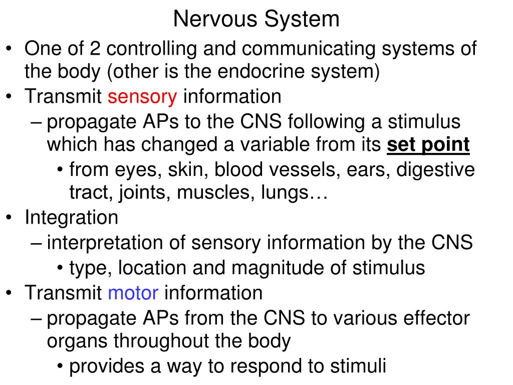 PPT - Anatomical Organization of the Nervous System PowerPoint ... PPT - Anatomical Organization of the Nervous System PowerPoint ...