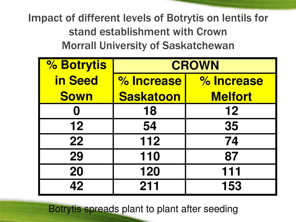 PPT - VITAFLO 280, CROWN AND THIRAM Disease Control Pulse Crops ...