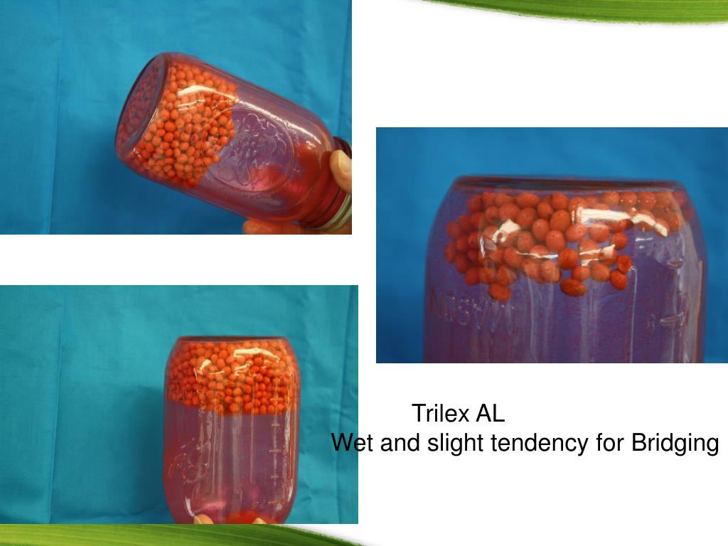 PPT - VITAFLO 280, CROWN AND THIRAM Disease Control Pulse Crops ...