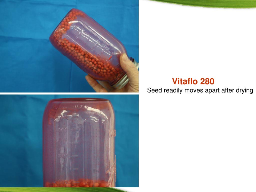 PPT - VITAFLO 280, CROWN AND THIRAM Disease Control Pulse Crops ...