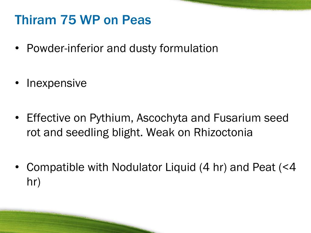 PPT - VITAFLO 280, CROWN AND THIRAM Disease Control Pulse Crops ...