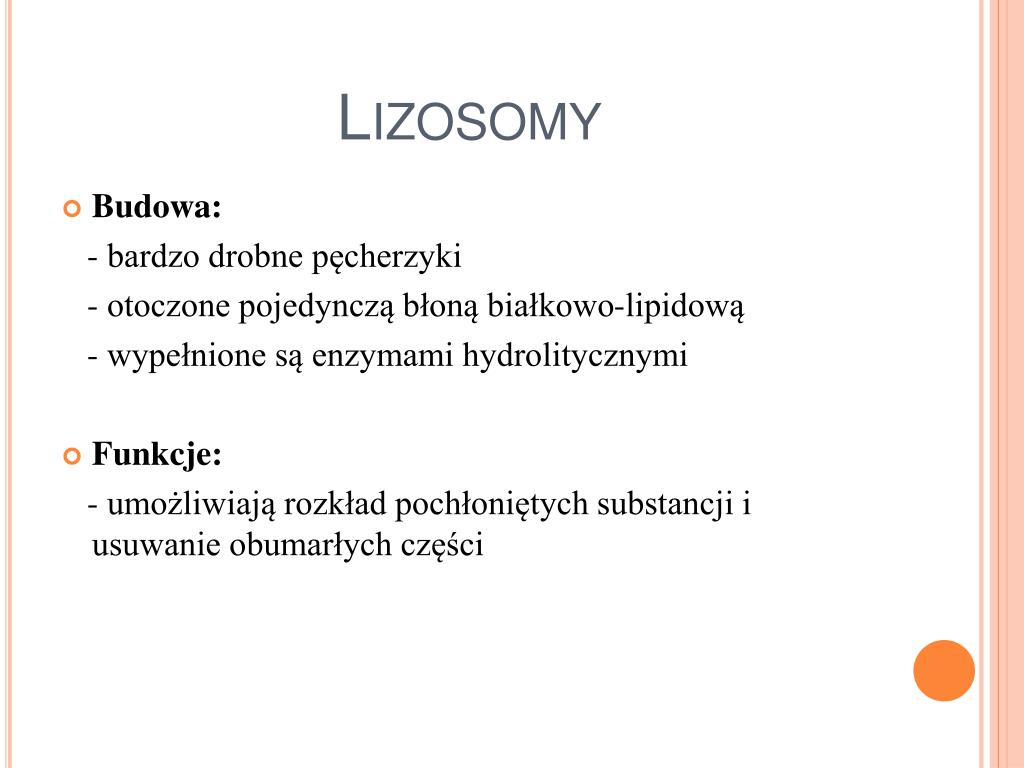PPT - Komórki Roślinne i Komórki Zwierzęce PowerPoint Presentation - ID ...