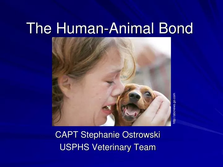 PPT - The Human-Animal Bond PowerPoint Presentation, free download - ID ...