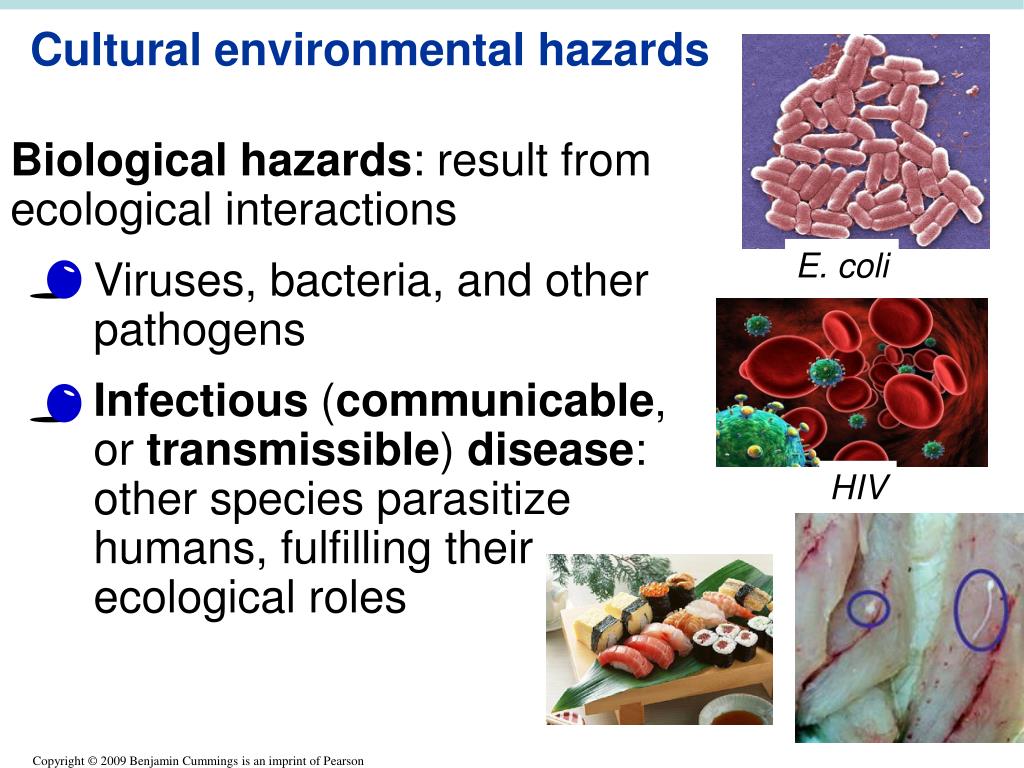PPT - 012 Environmental Health & Toxicology Ch 10 PowerPoint ...