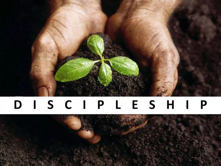 PPT - DISCIPLESHIP PowerPoint Presentation, free download - ID:5424916