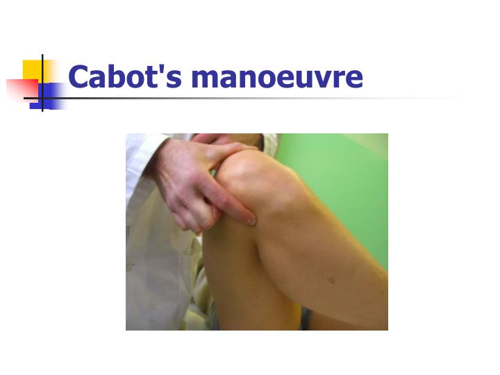 PPT - Clinical examination of the knee H.Mousavi Tadi,MD Department of ...