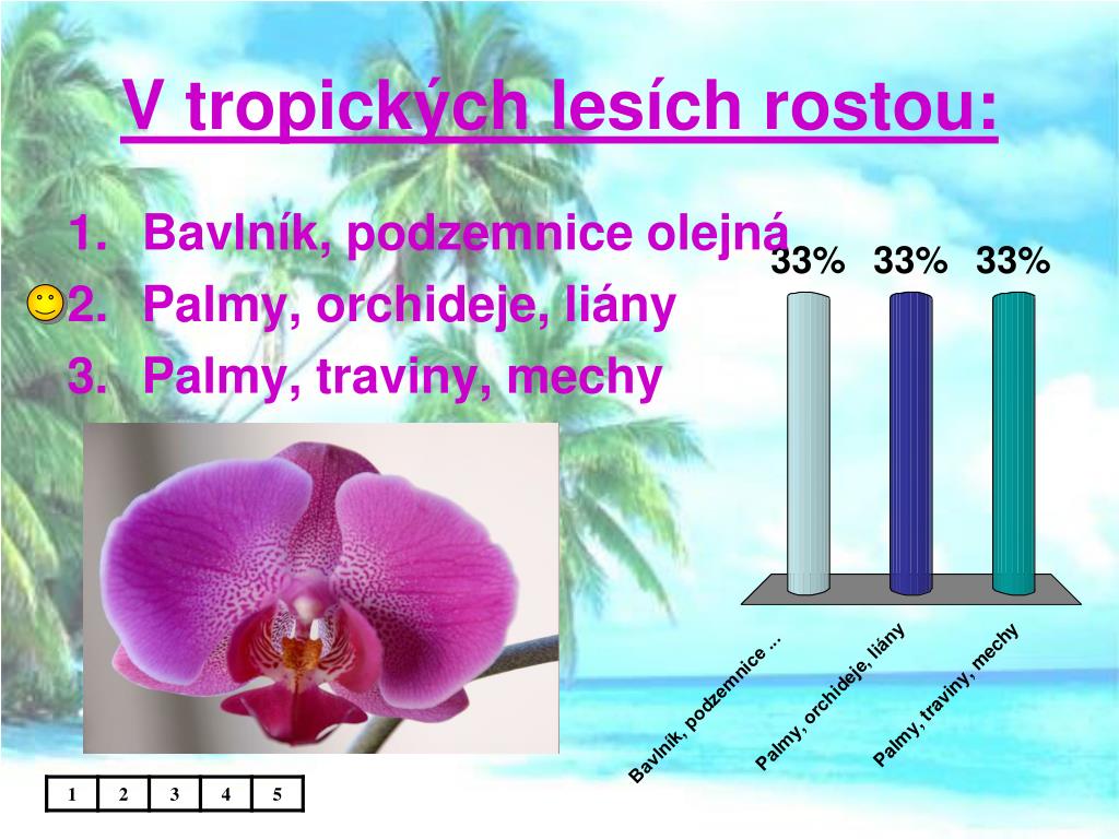 PPT - Podnebné pásy I. – 5. ročník / tropický podnebný pás / PowerPoint ...