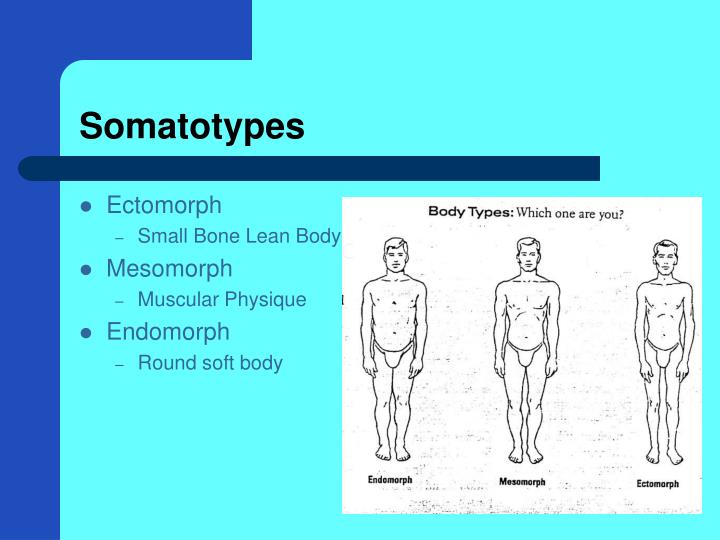 PPT - General Anatomy PowerPoint Presentation - ID:5426059