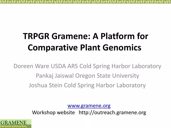 PPT - TRPGR Gramene: A Platform for Comparative Plant Genomics ...
