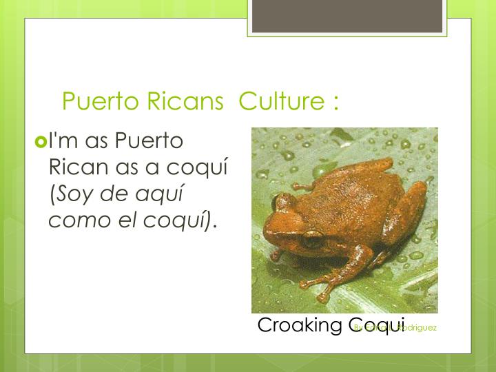 PPT - Unit 1: What Makes Puerto Rico Unique ? PowerPoint Presentation ...