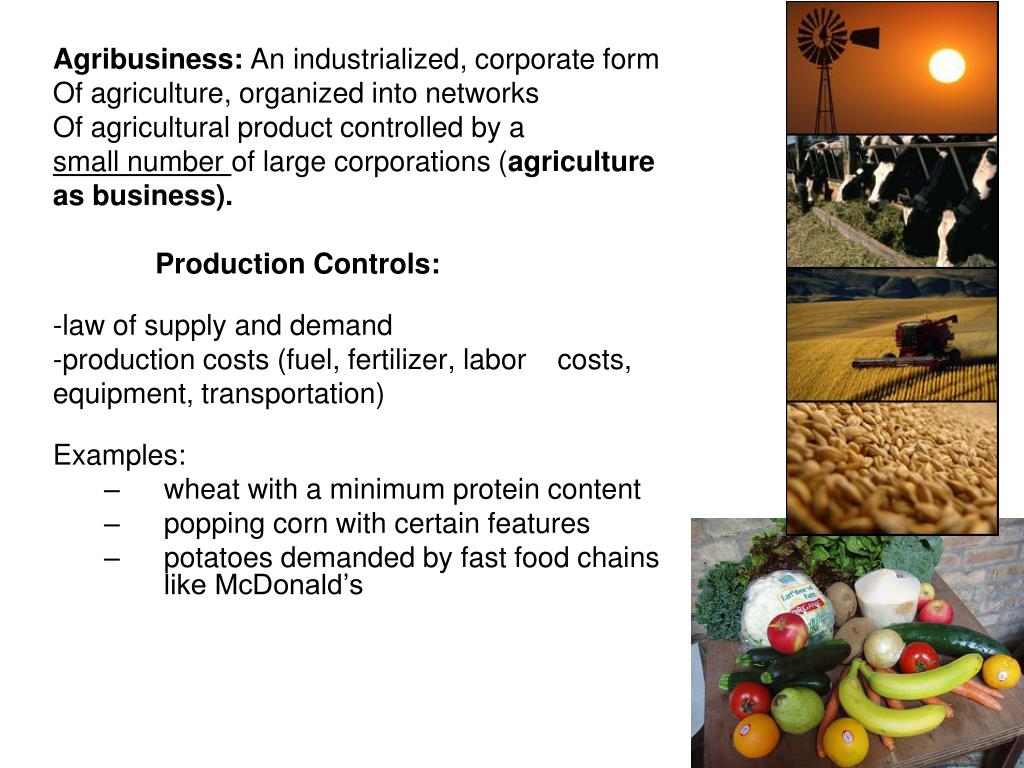 PPT - COMMERCIAL AGRICULTURE PowerPoint Presentation, free download ...