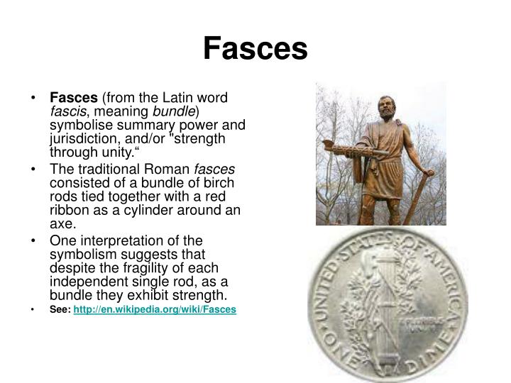 PPT - STEMS: FORM & FUNCTION PowerPoint Presentation - ID:5428079