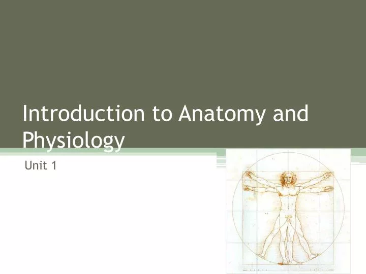 PPT - Introduction to Anatomy and Physiology PowerPoint Presentation ... PPT - Introduction to Anatomy and Physiology PowerPoint Presentation ...