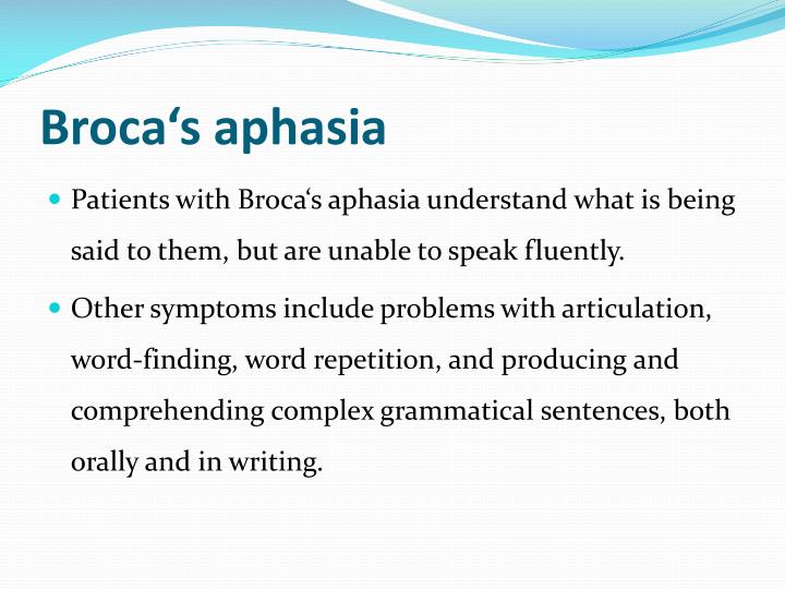 PPT - Broca‘s Area and Wernicke\'s Area PowerPoint Presentation - ID ...