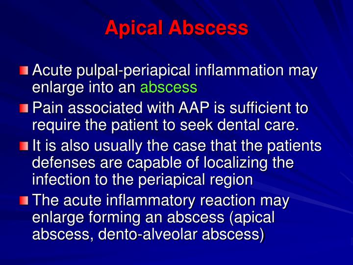 PPT - Acute apical periodontitis (parodontitis apicalis acuta ...