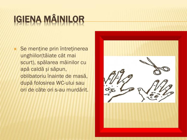 PPT - REGULI DE IGIENĂ PERSONALĂ PowerPoint Presentation - ID:5429745