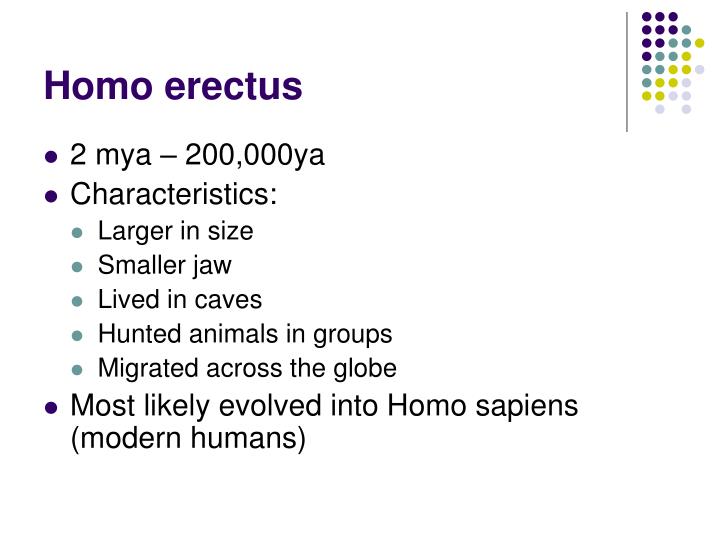 PPT - Human Evolution PowerPoint Presentation - ID:5430291
