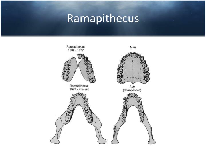 PPT - Christianity vs. Evolution PowerPoint Presentation - ID:5430480