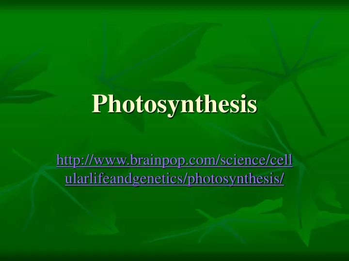 PPT - Photosynthesis PowerPoint Presentation, free download - ID:5430796