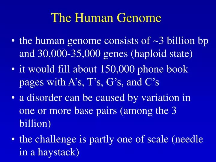 Ppt The Human Genome Powerpoint Presentation Free Download Id 5431240