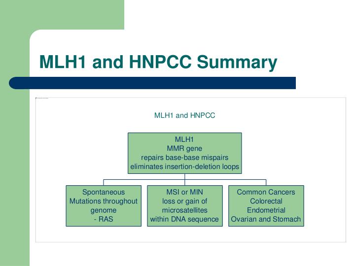 PPT - MLH1 and HNPCC PowerPoint Presentation - ID:5431279