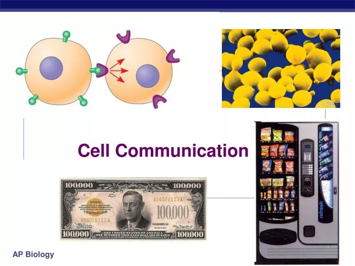 PPT - Cell Communication PowerPoint Presentation, free download - ID ...