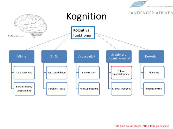 PPT - Parkinson och demens PowerPoint Presentation - ID:5432393